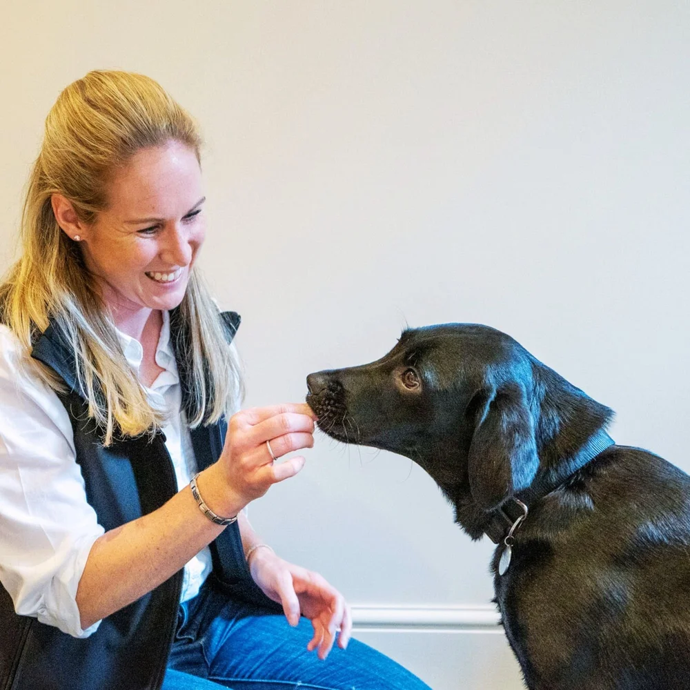 Animal Chiropractic Warwick