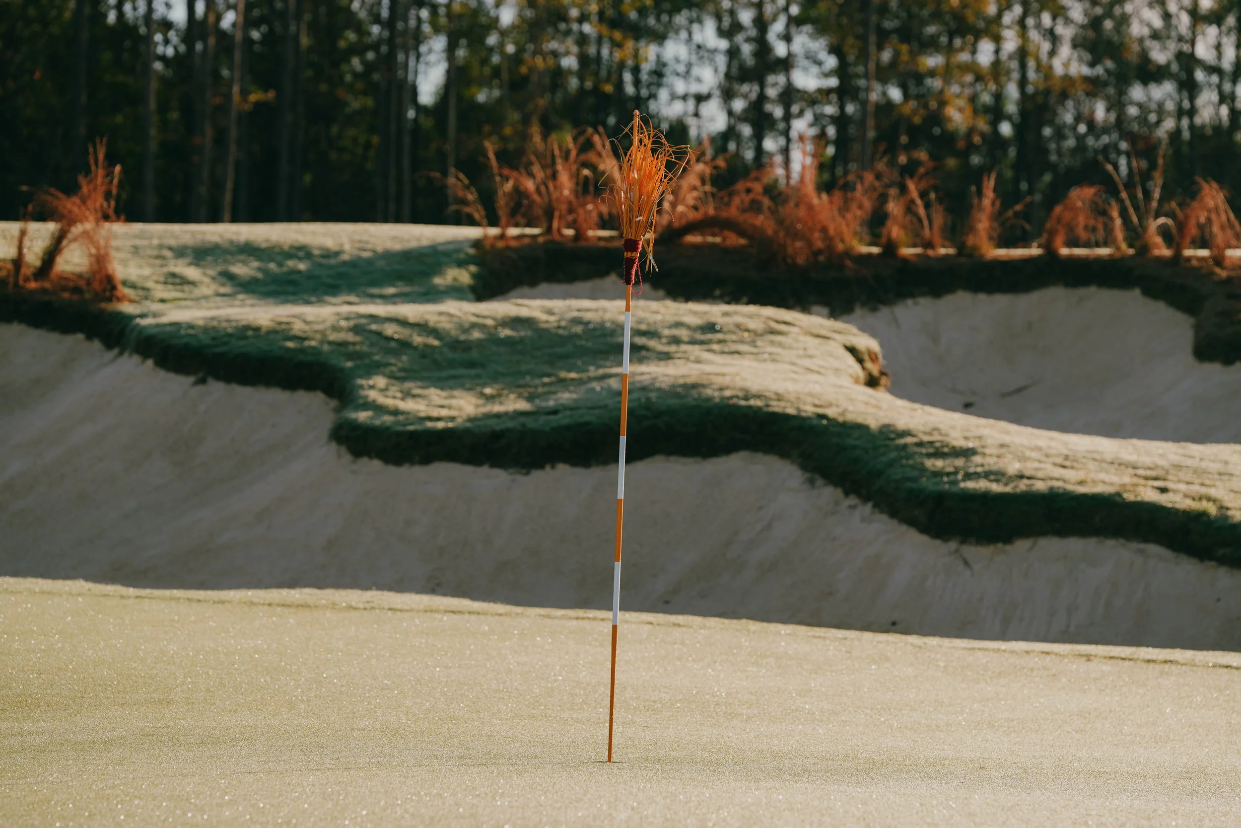 The Golf Course — BROOMSEDGE