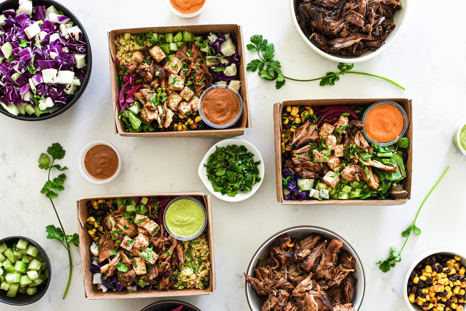 Palmita | Discover Fresh Flavors Today