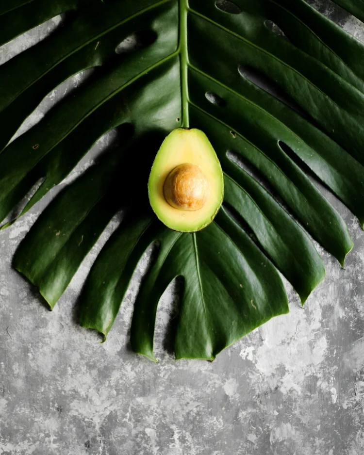 Palmita | Fresh Cal-Mex Bowls — Gluten Free, Dairy Free, Made from Scratch