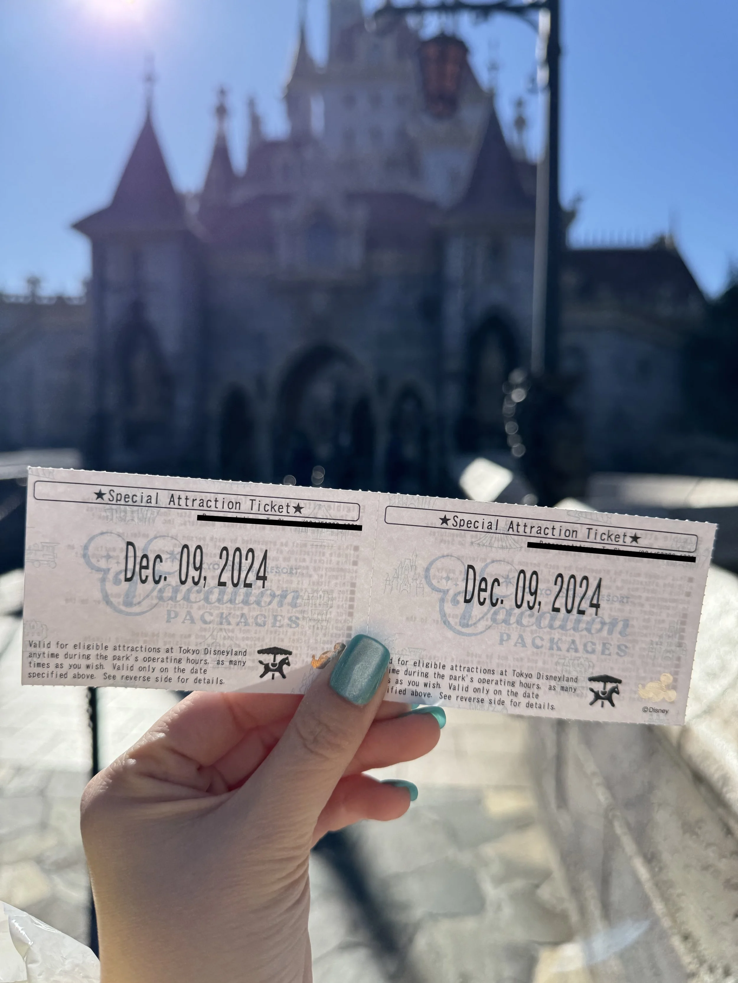 Comparing Tokyo Disney Resort vacation packages — directiveadventure