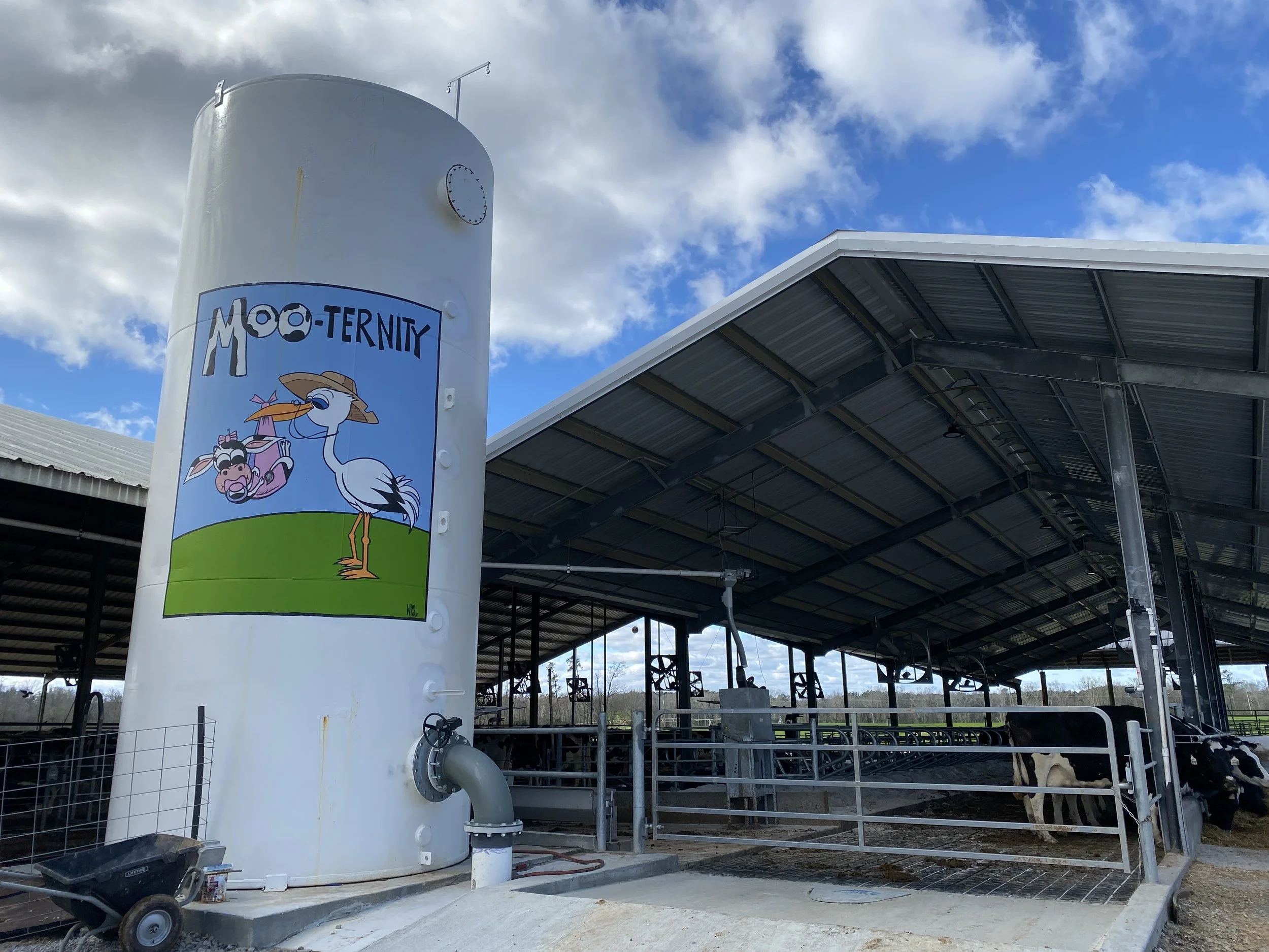 Farm Country Fun: A Day (and Night!) in Thomson — Visit Thomson, GA ...