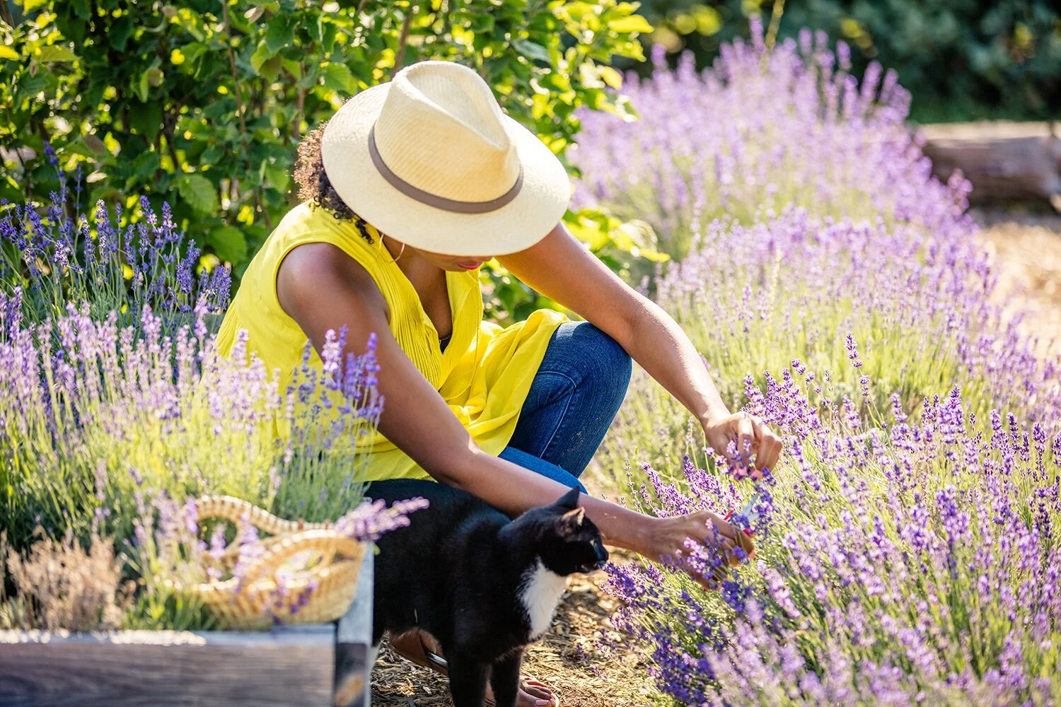 Farm Country Fun: A Day (and Night!) in Thomson — Visit Thomson, GA ...