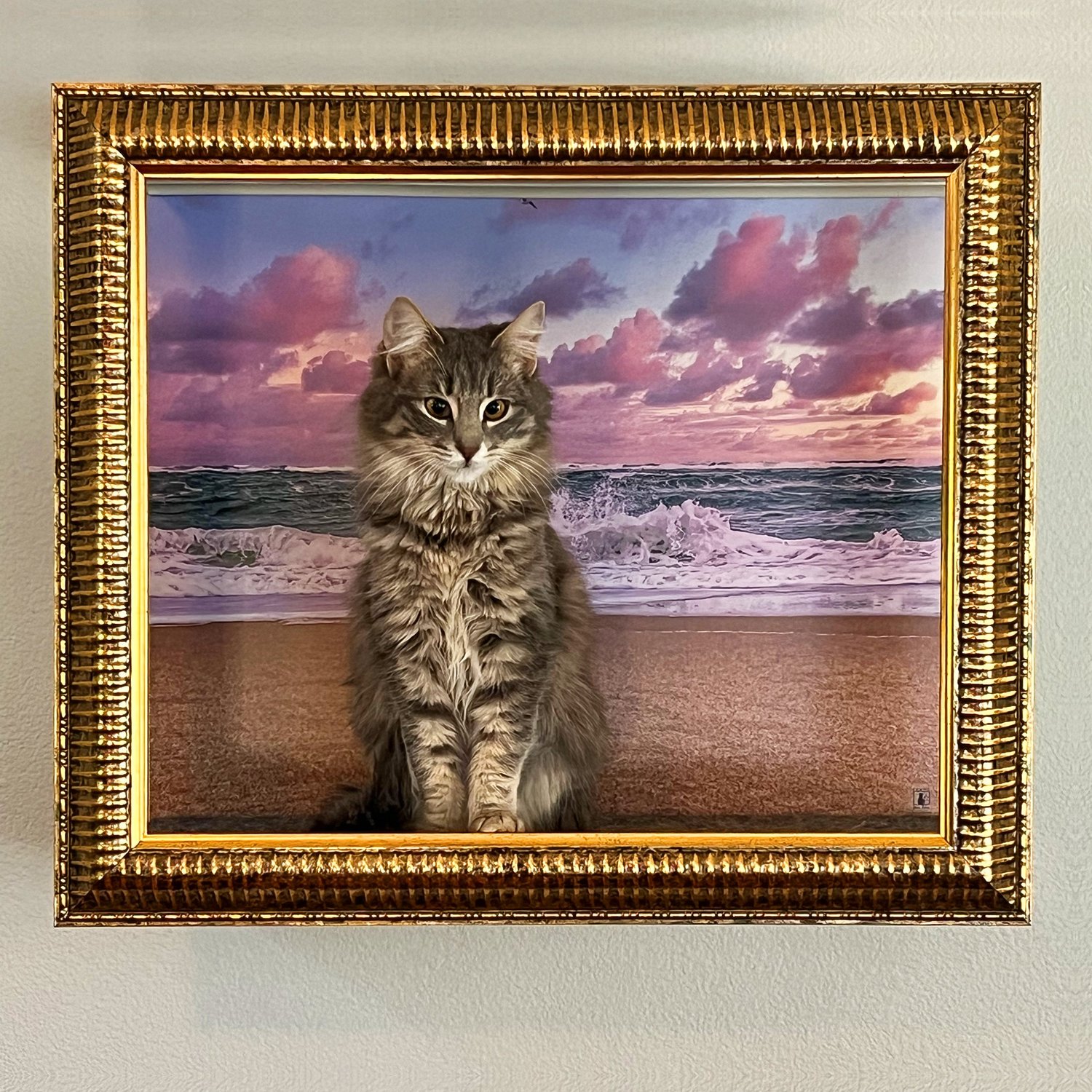 Feline Frame Gallery Sets | Create and Showcase Your Feline Art — Frame ...
