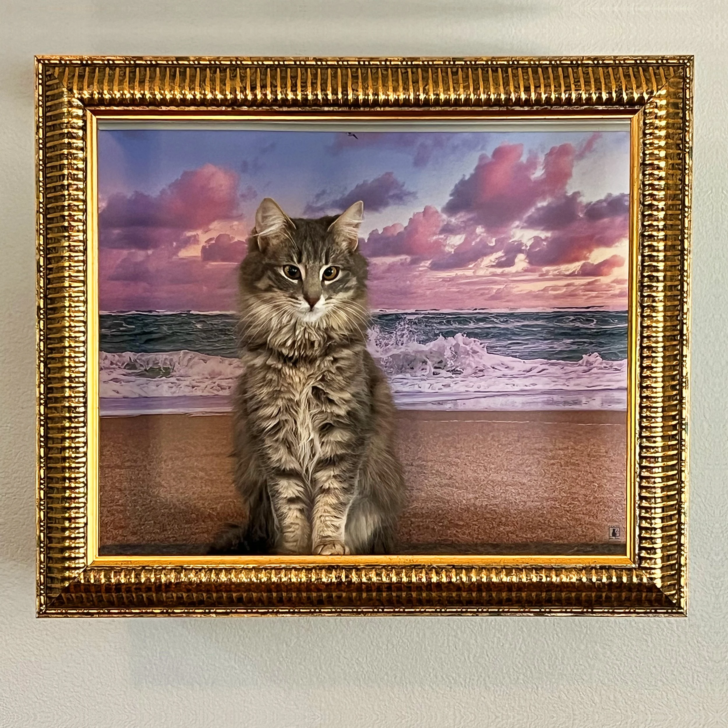Feline Frame Gallery Sets | Create and Showcase Your Feline Art — Frame ...