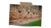 Our Story — Maxstoke Castle