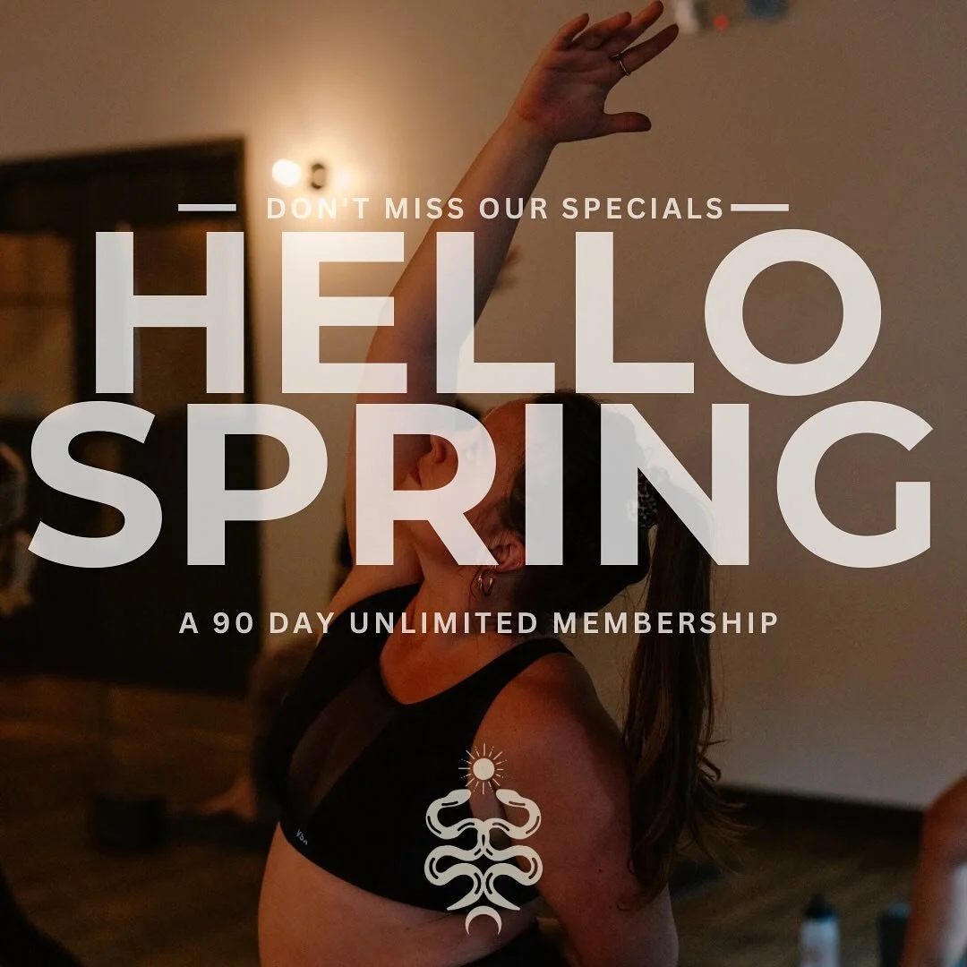 AYA yoga: Log in — AYA yoga