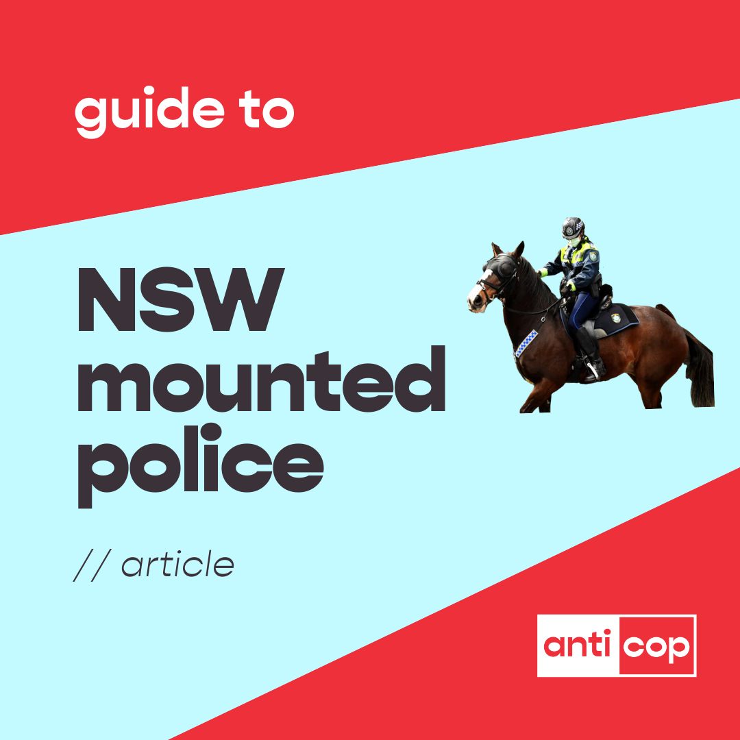 NSW mounted police — anticop