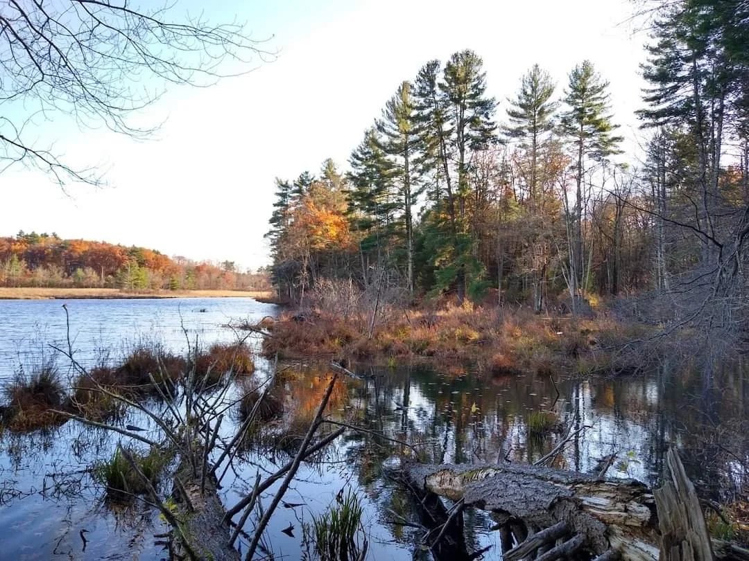 Wells State Park — Trek Sturbridge