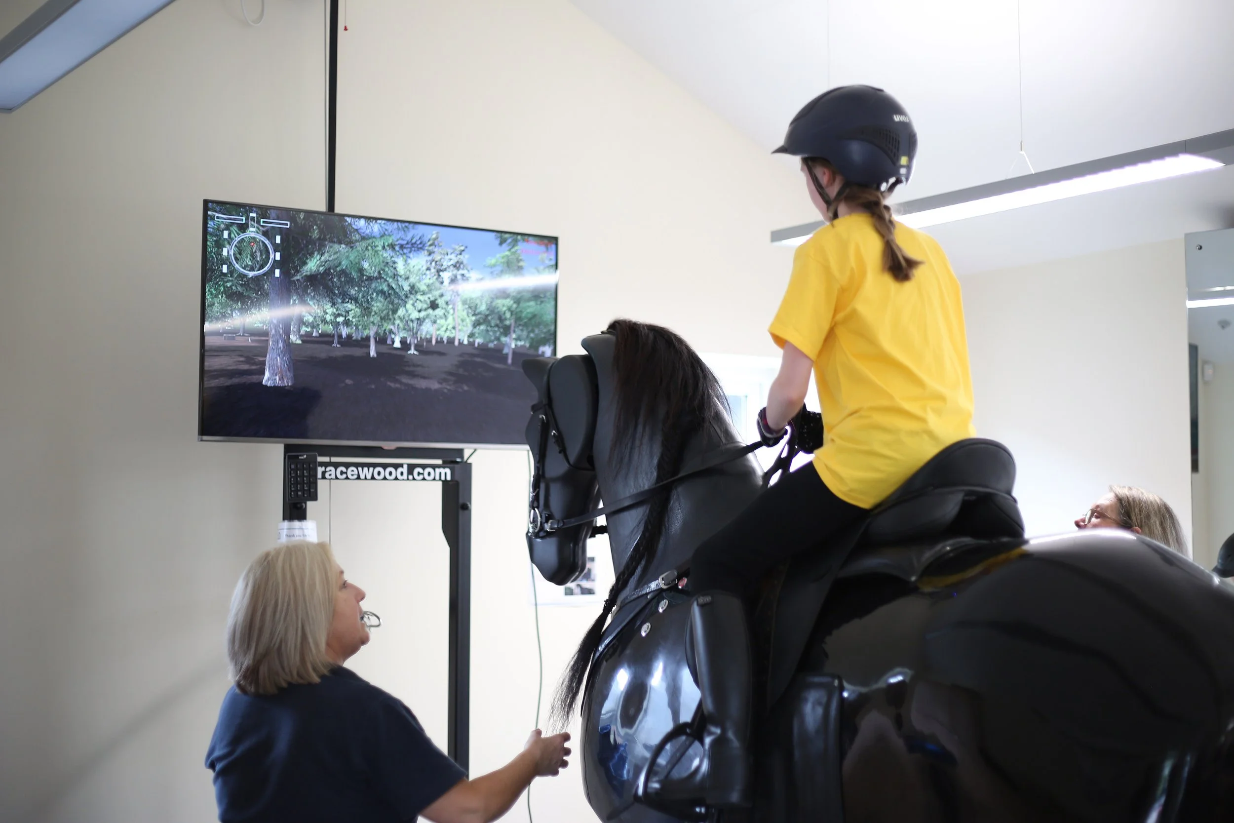 Clwyd Special Riding Centre