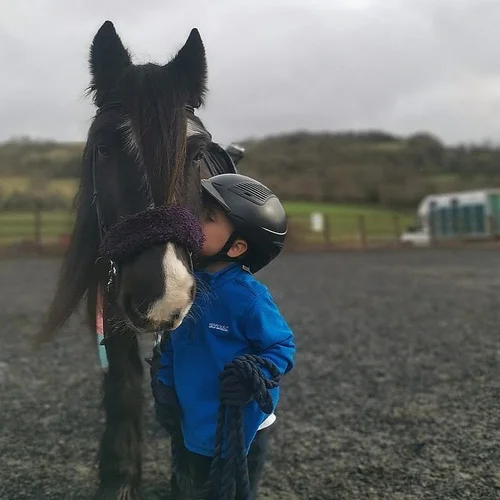 Clwyd Special Riding Centre