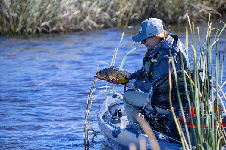 Show — Life On The Water