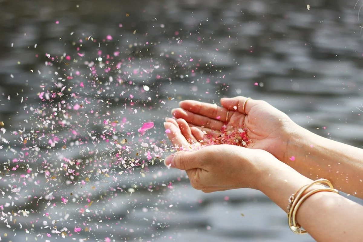 Biodegradable Confetti — The Confetti Bar