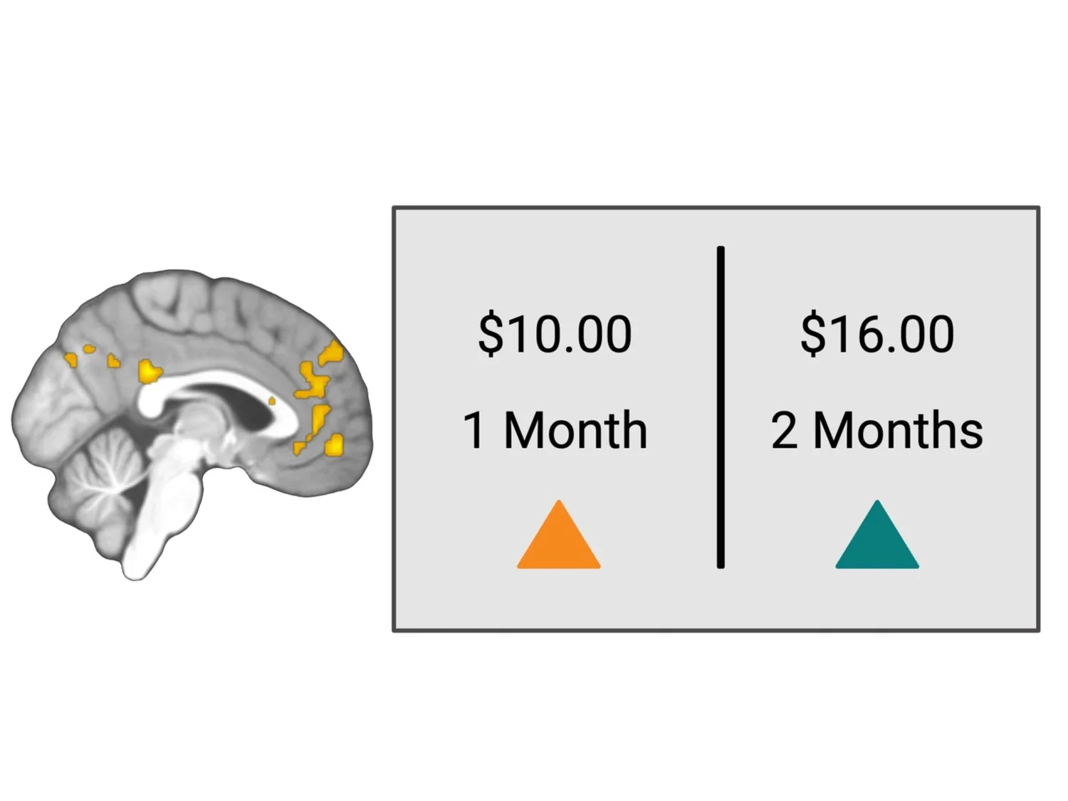 Research — Castrellon Lab