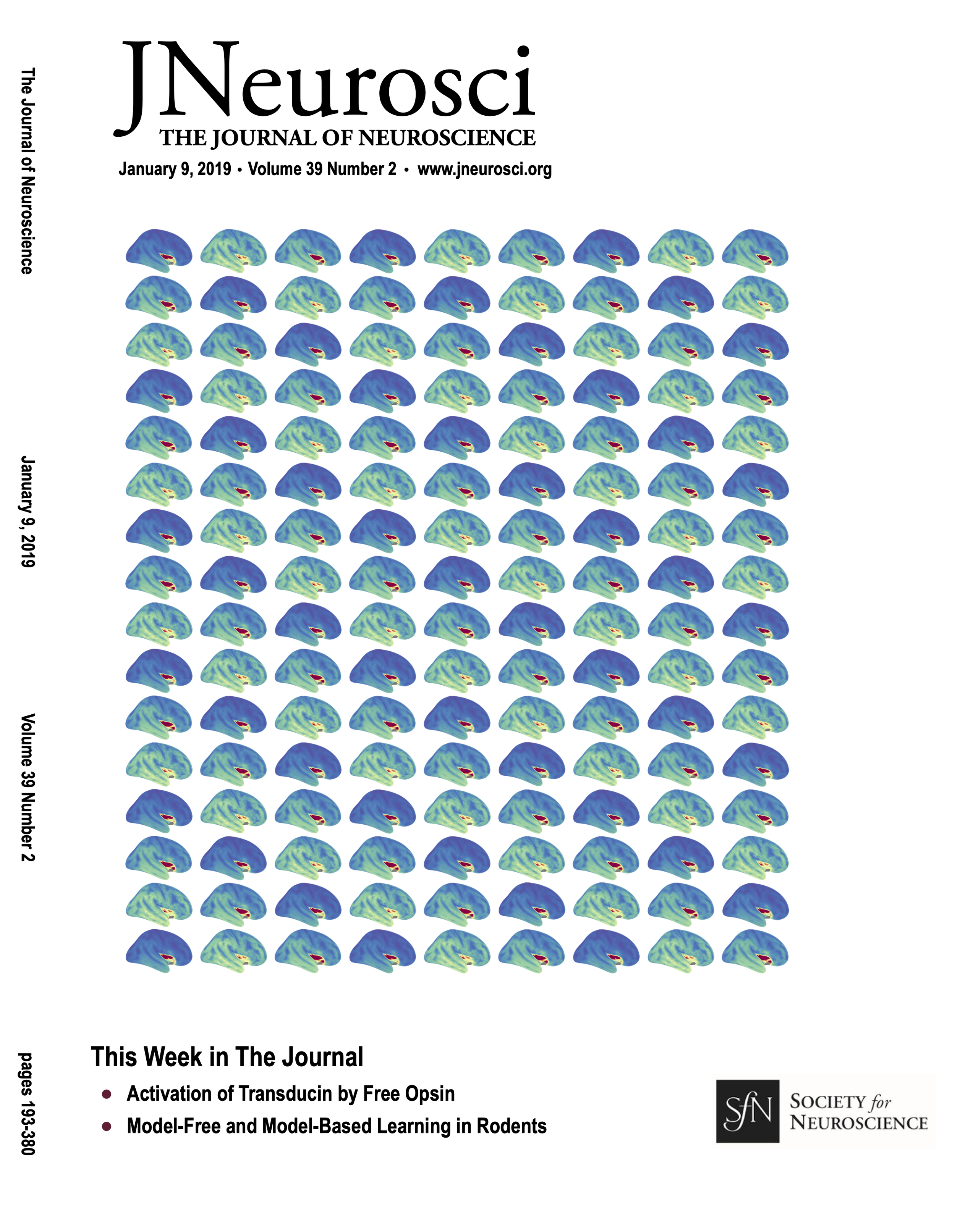 Publications — Castrellon Lab