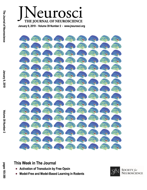 Publications — Castrellon Lab