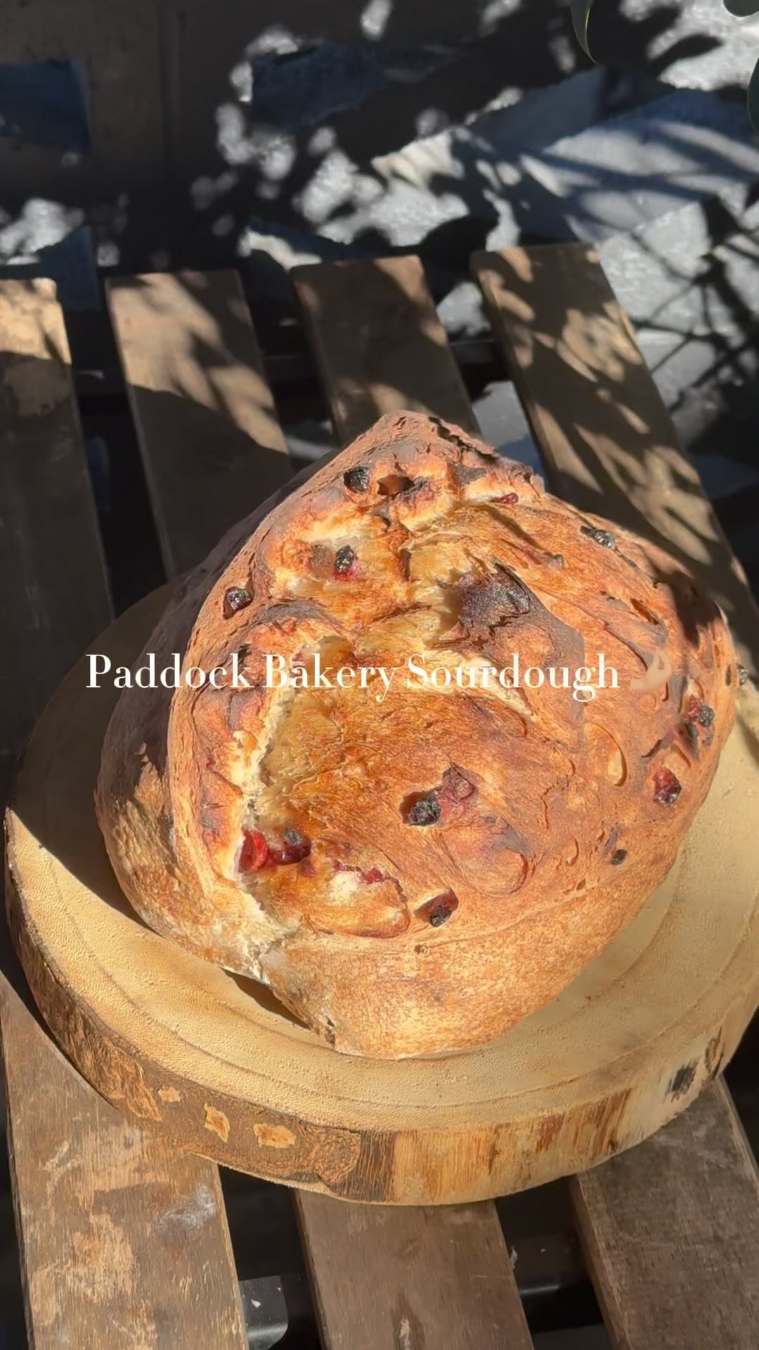 Paddock Bakery - Geelong