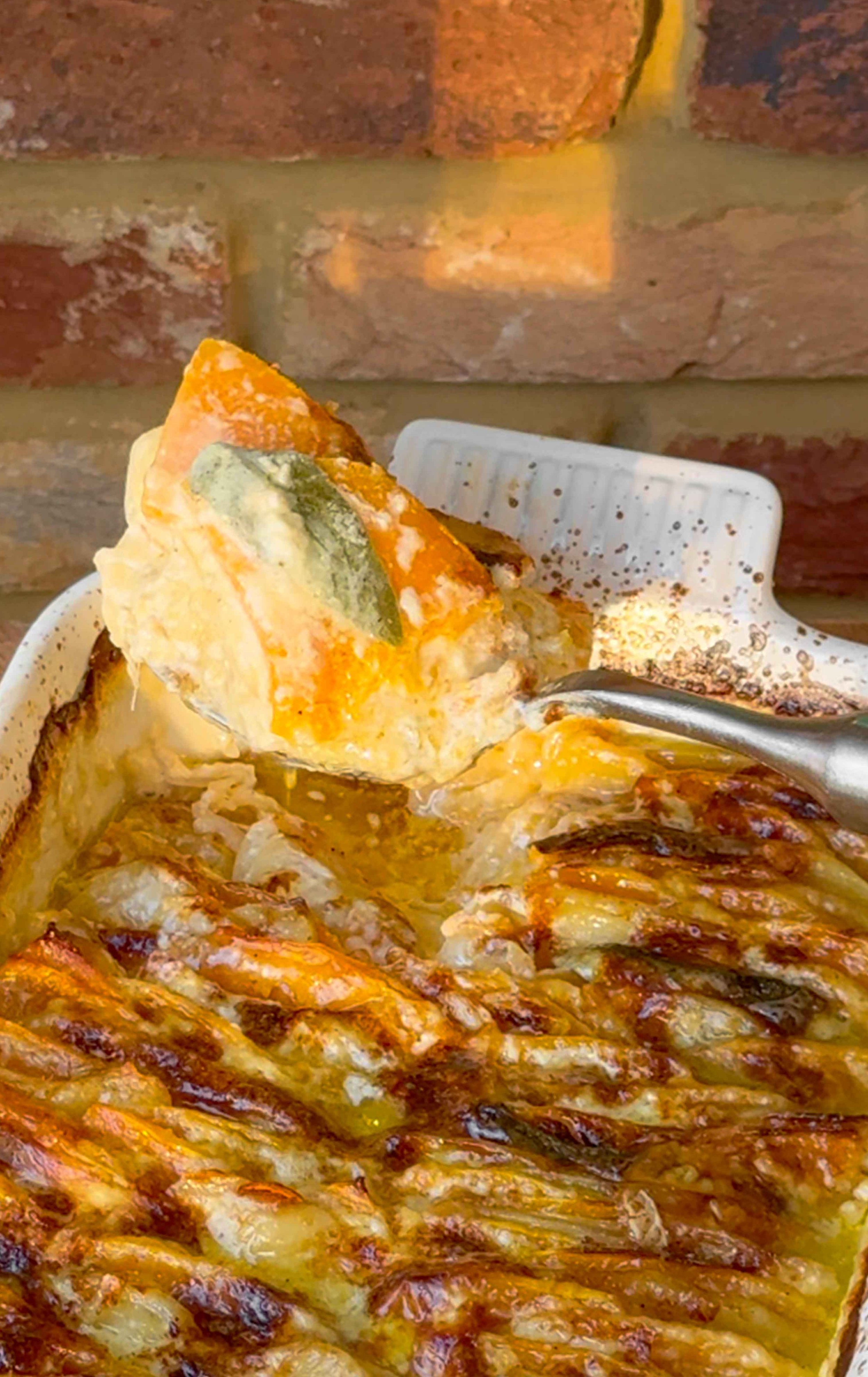 Potato + squash gratin — MATTHEW RYLE