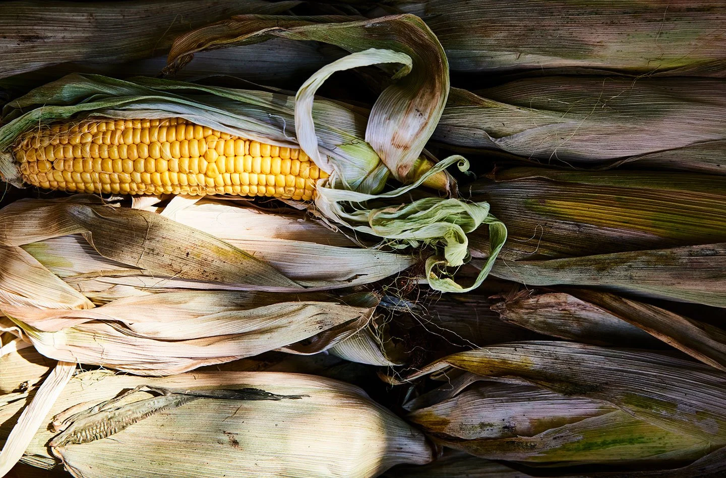MATTHEW RYLE - Classic French recipes. Debut Cookbook available for pre ...