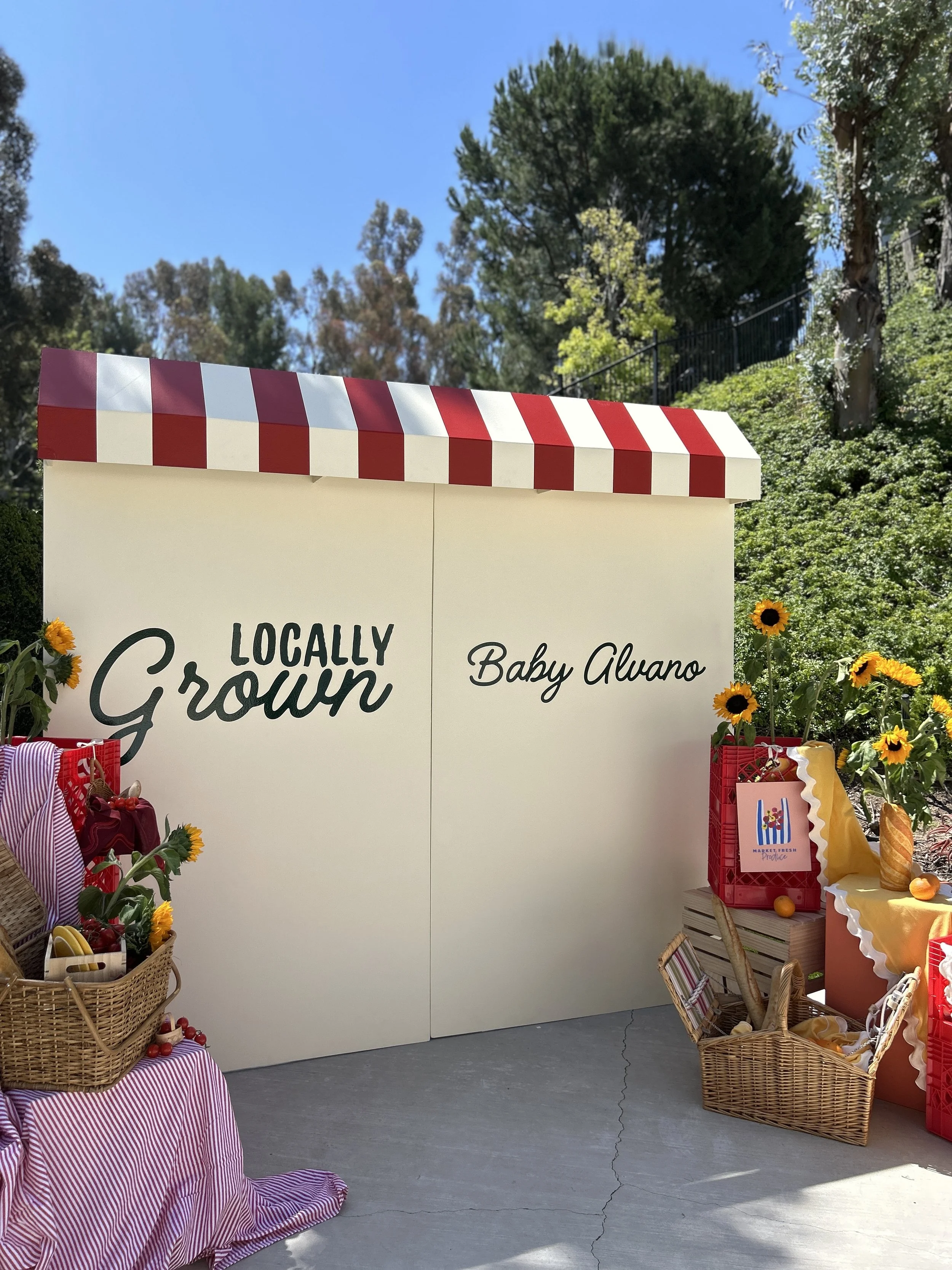 The Party Gal Rentals | Custom Backdrops, Decor & Balloons in Orange County