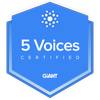 The 5 Voices - Introduction — Khaki Consulting