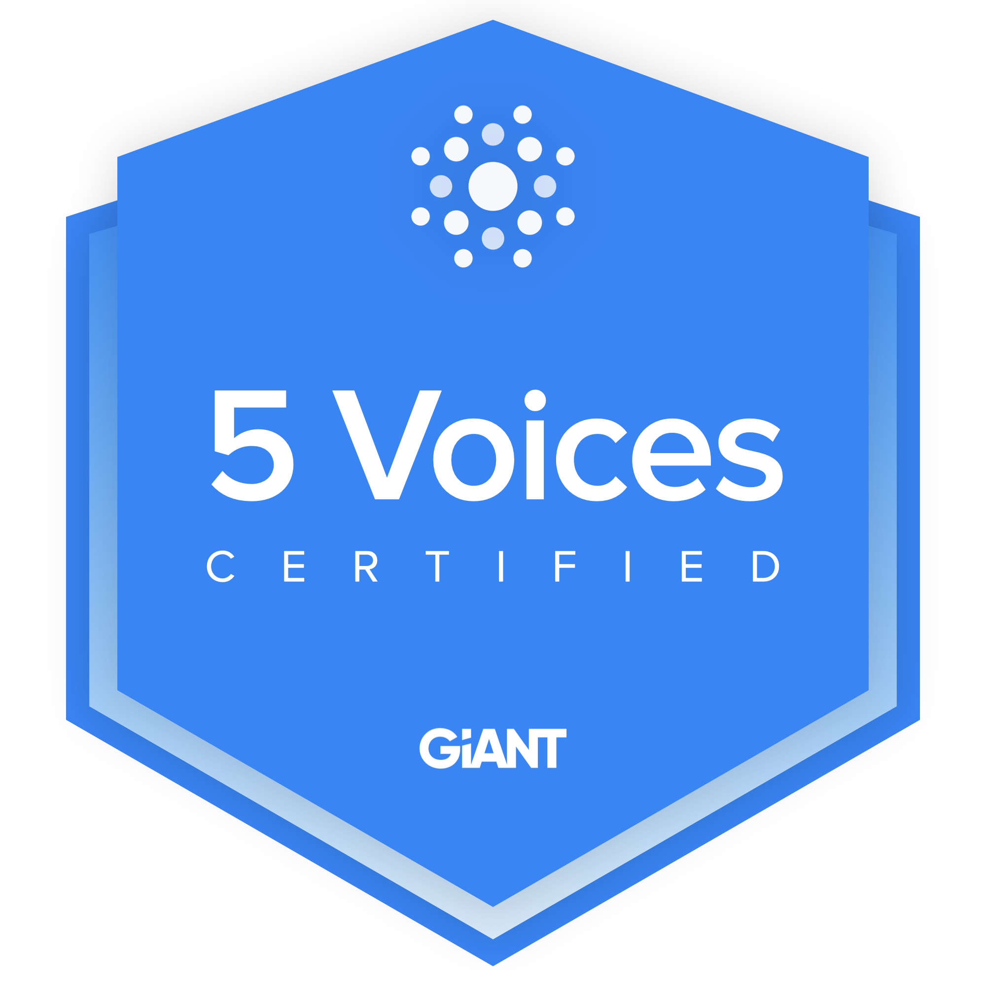 The 5 Voices - Introduction — Khaki Consulting