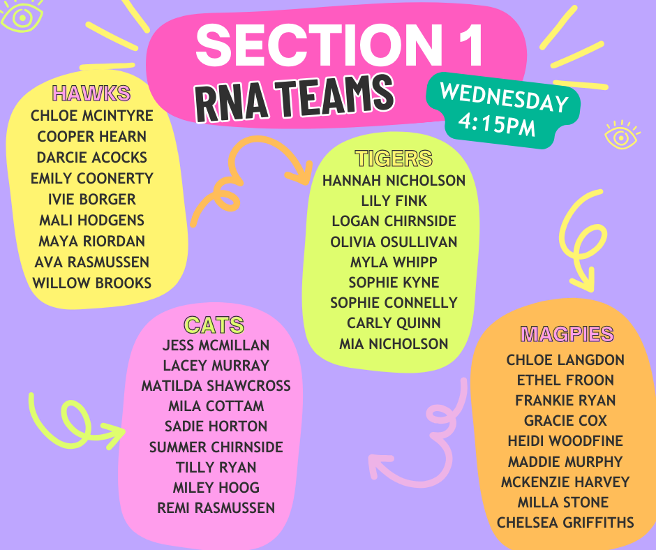Teams — Rochester Netball Association