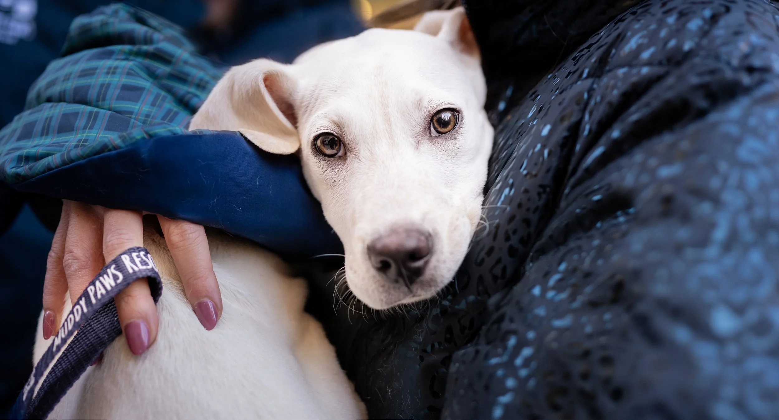 About Meredith Zinner | Brooklyn Family Photographer
