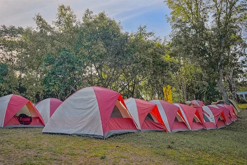 Camping — Preziosa Farms