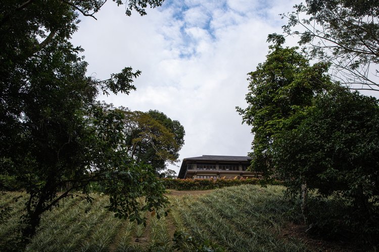 Amenities — Preziosa Farms