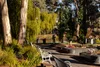 Eaglehawk — Remembrance Parks Central Victoria
