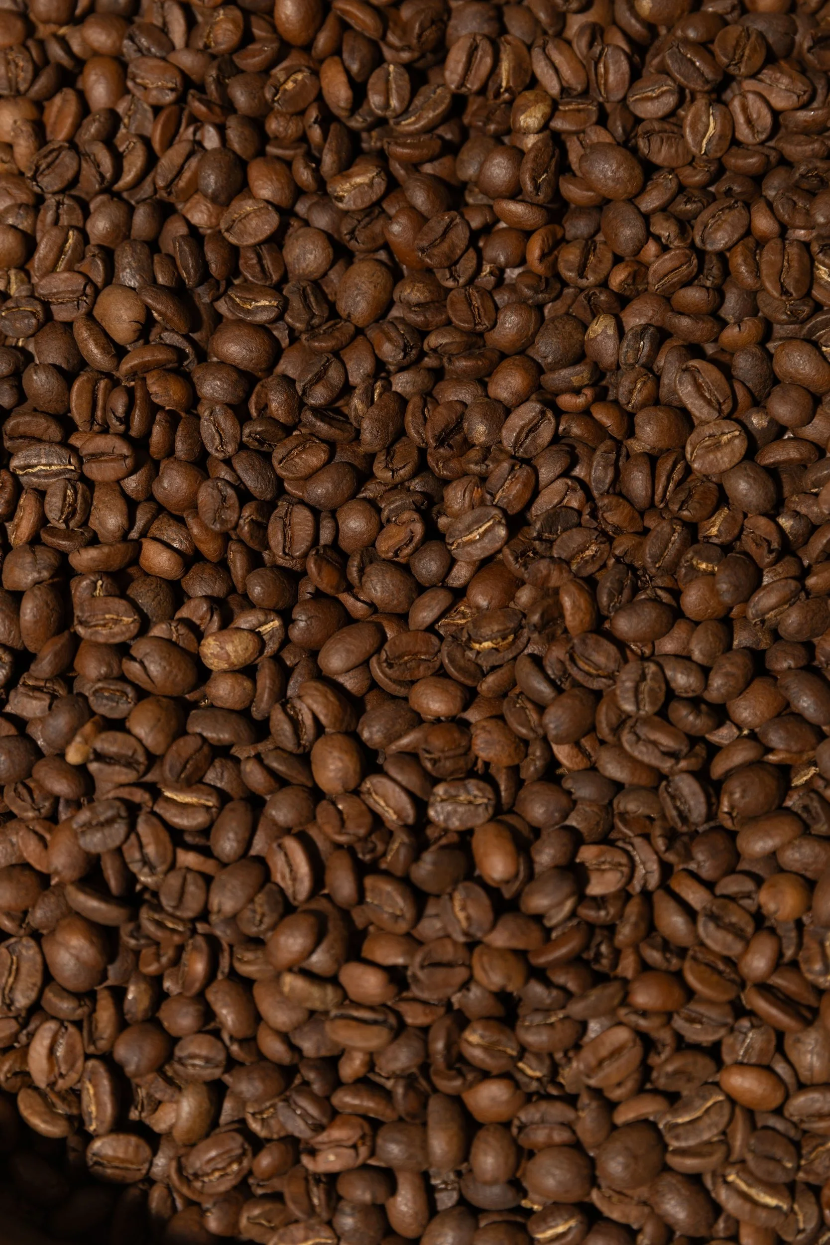 Locals — Social Coffee