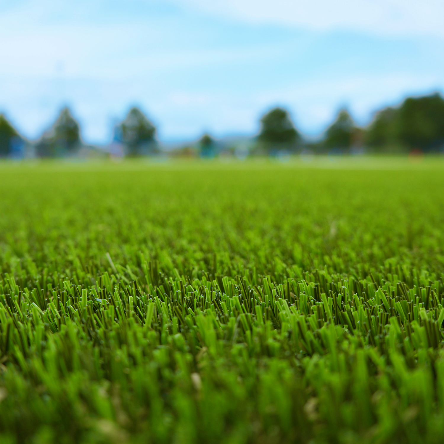 TERRATURF | Transform Your Outdoor Space Today