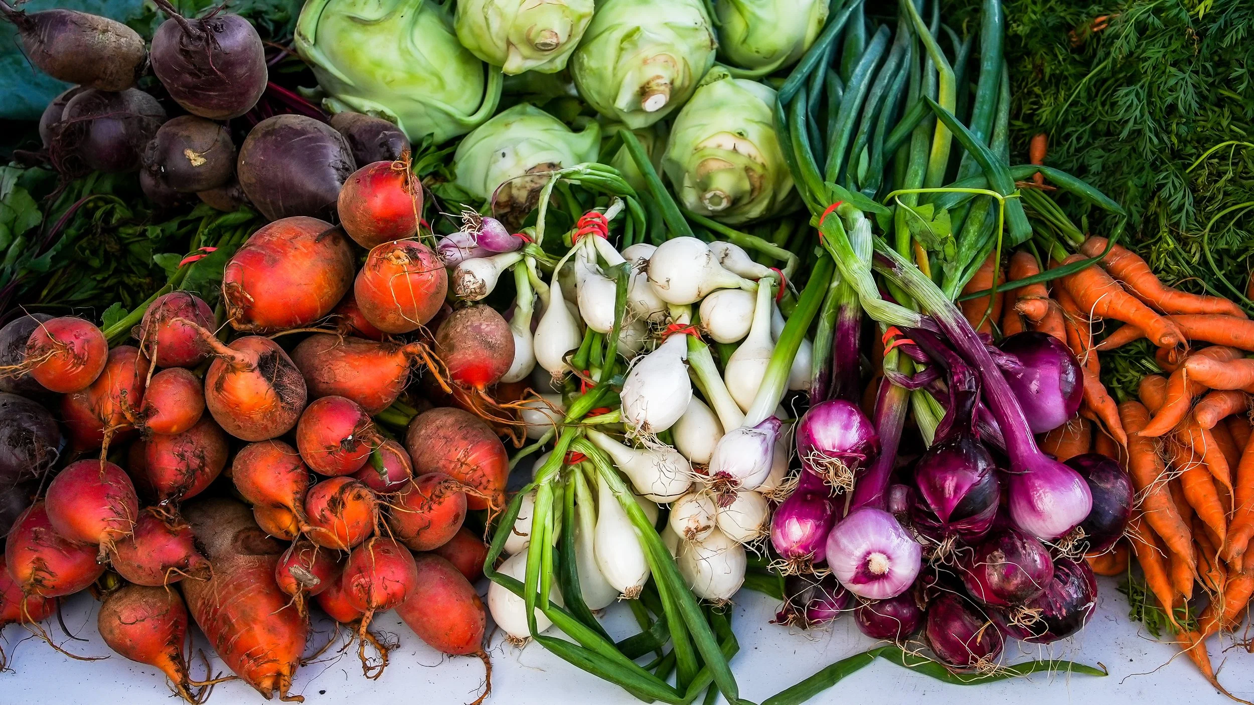 Services — Genomic Wellness of North Texas