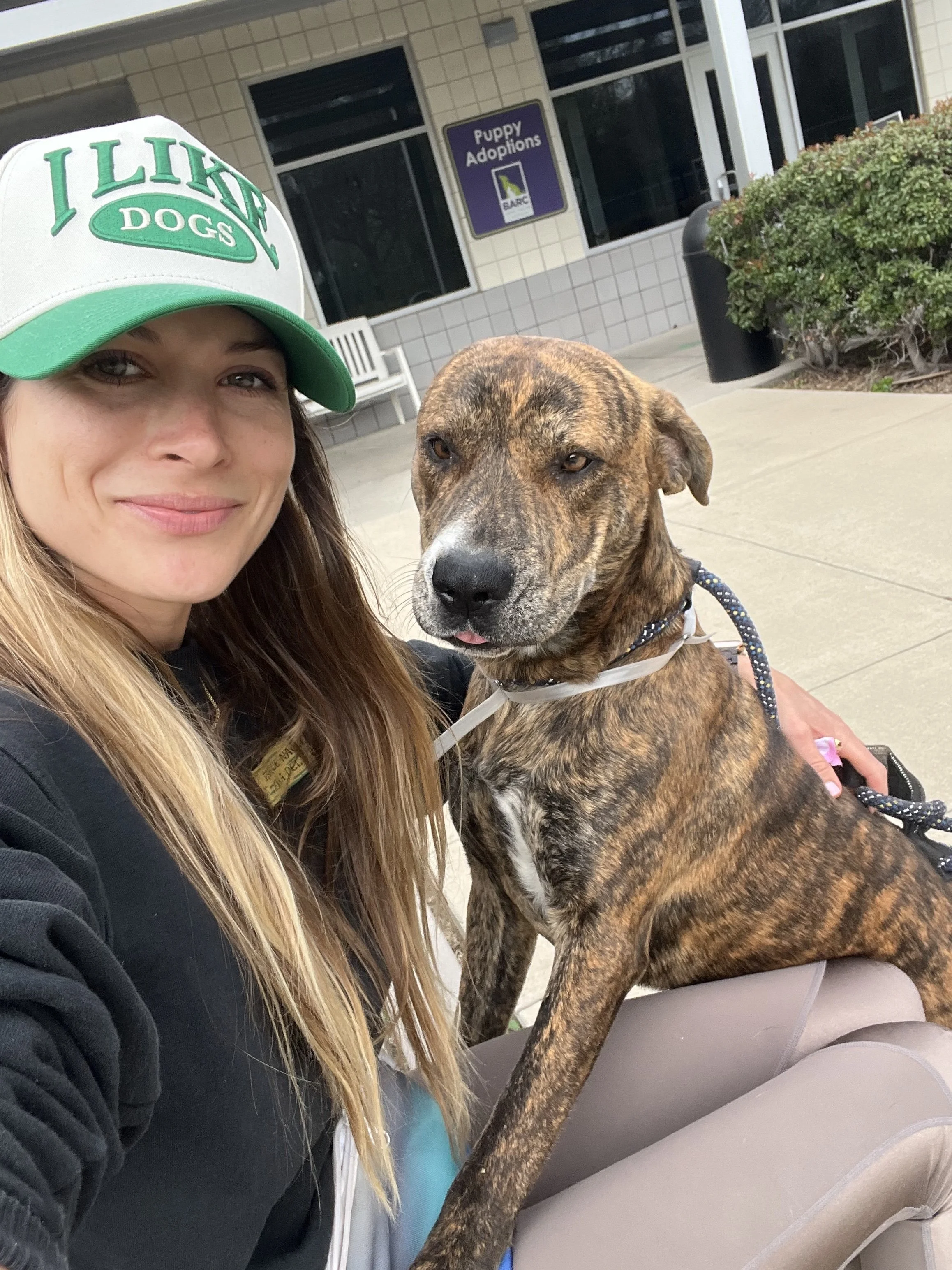 Team — Pippy's Pals Rescue