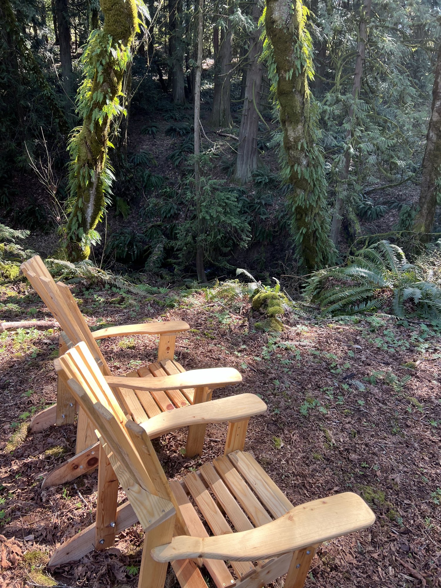 Living Wholehearted: Counseling, Coaching, and Leadership Development