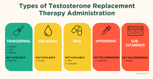 Testosterone and Menopause: A Guide to Symptoms, Solutions, and Science ...