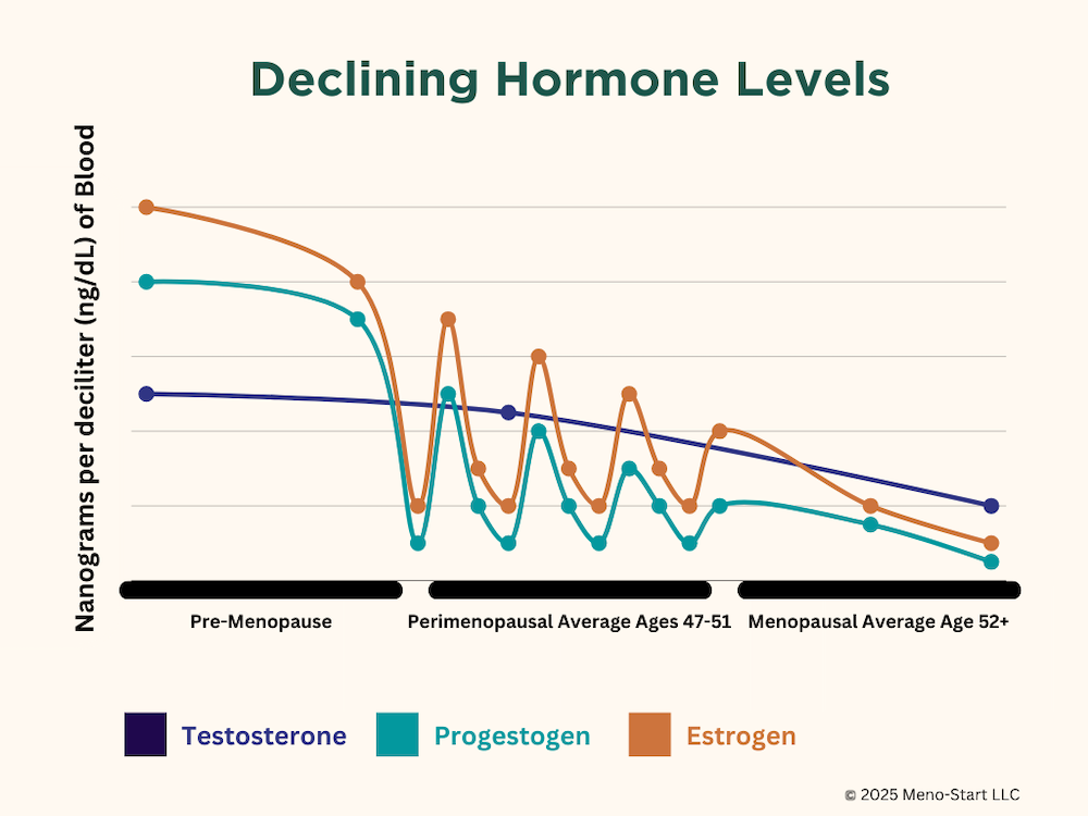 Testosterone and Menopause: A Guide to Symptoms, Solutions, and Science ...