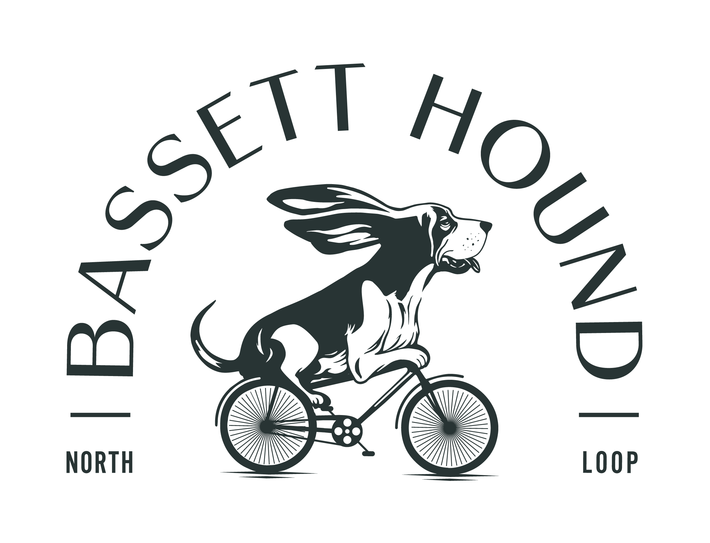 Bassett Hound | North Loop