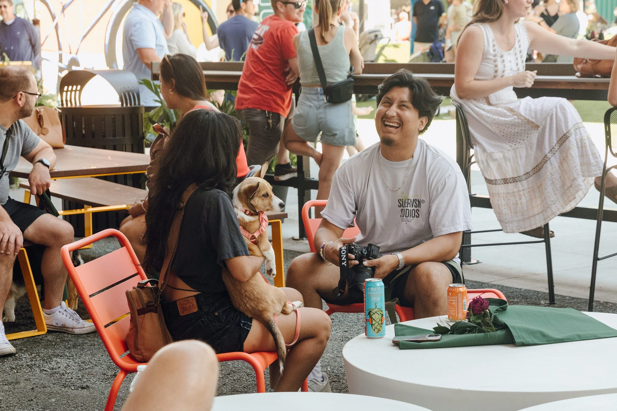 Bassett Hound | North Loop | Discover Great Food & Fun - Visit Today