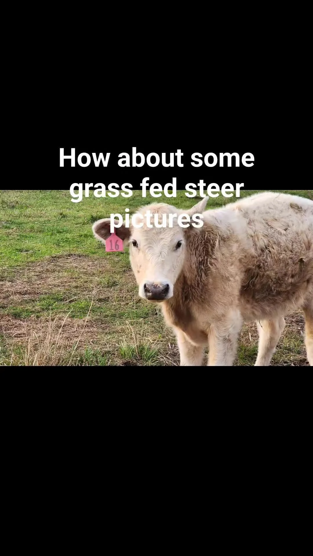 Casa Granada Farm | Grass-Fed Beef | Pasture-Raised Chicken | Jams ...