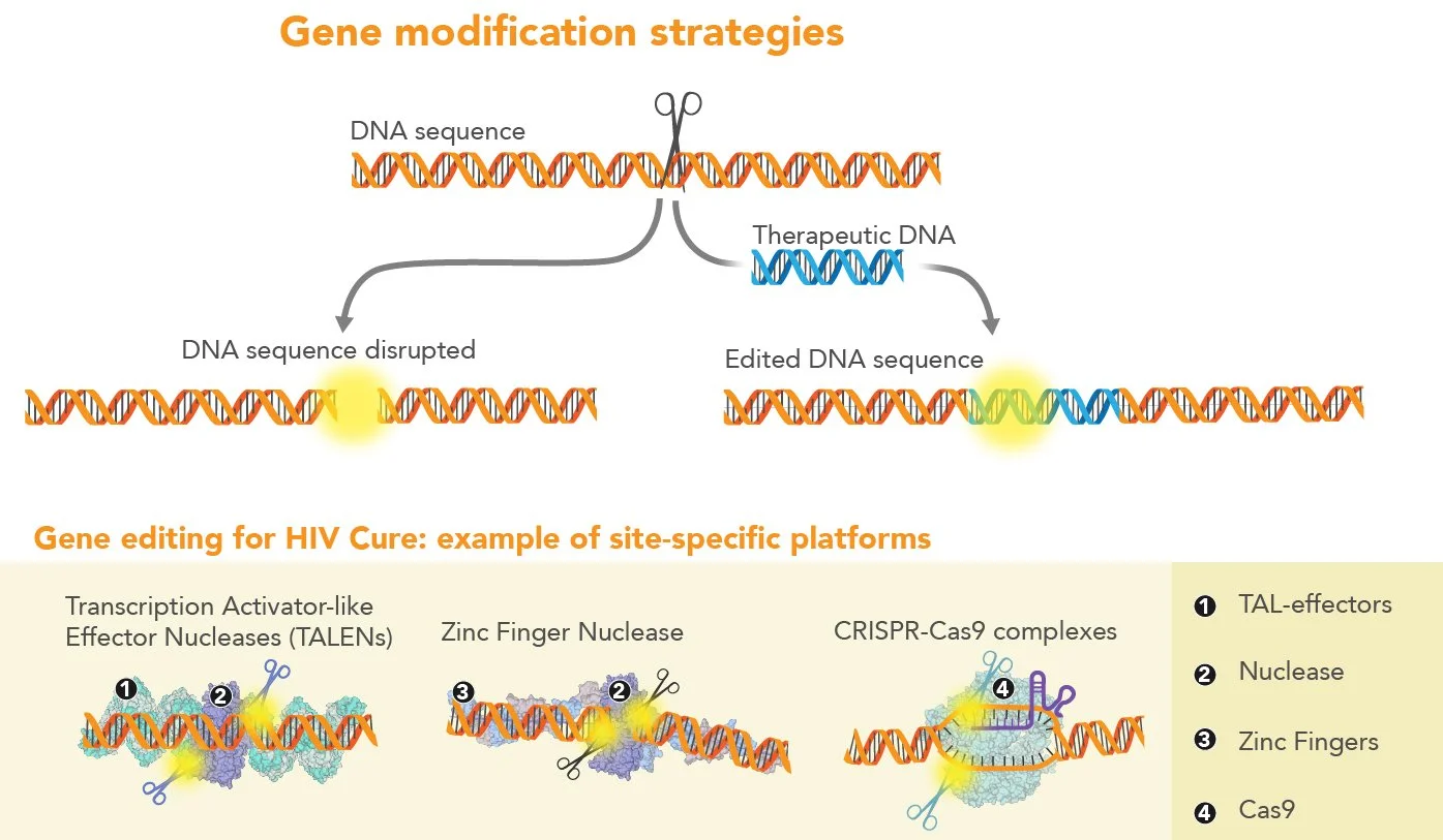 Gene & Cell Therapy — Science of HIV