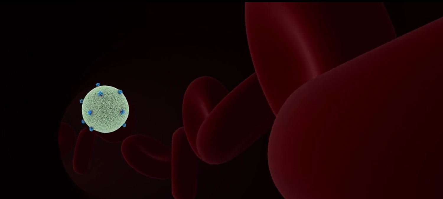 Restriction Factors — Science of HIV