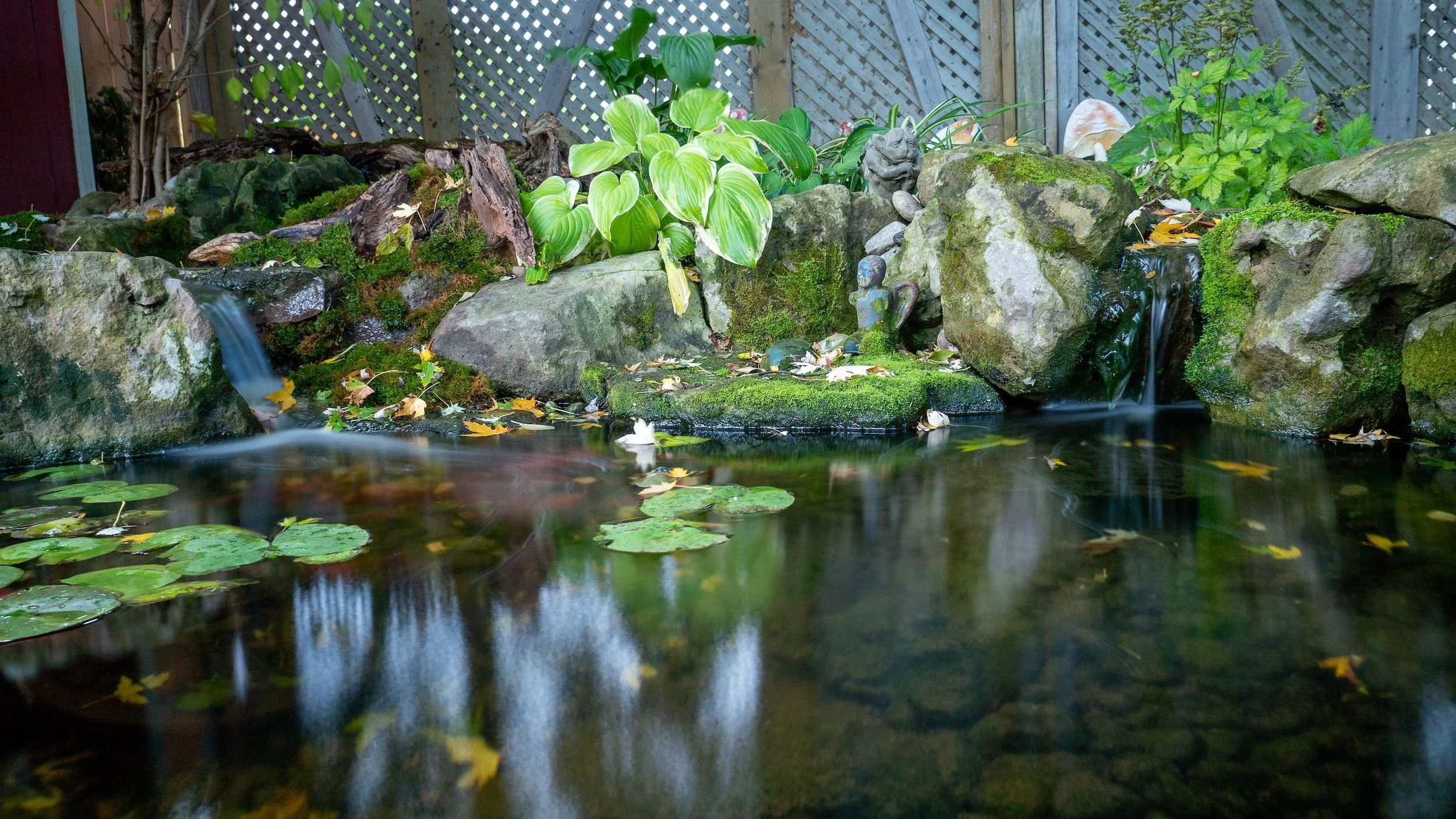 Ecosystem Ponds — Niagara Waterscapes