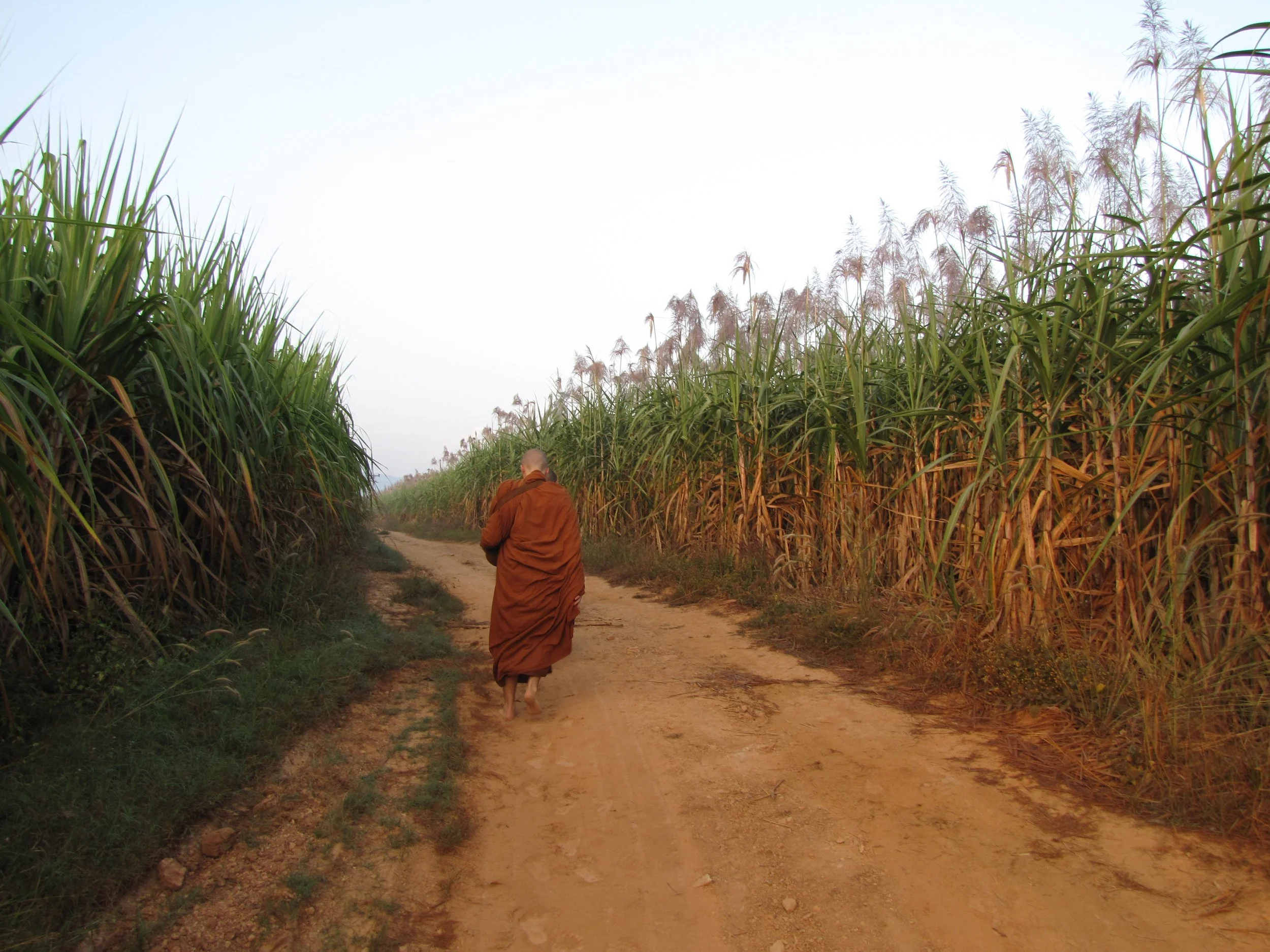 Buddhist Society of Canada