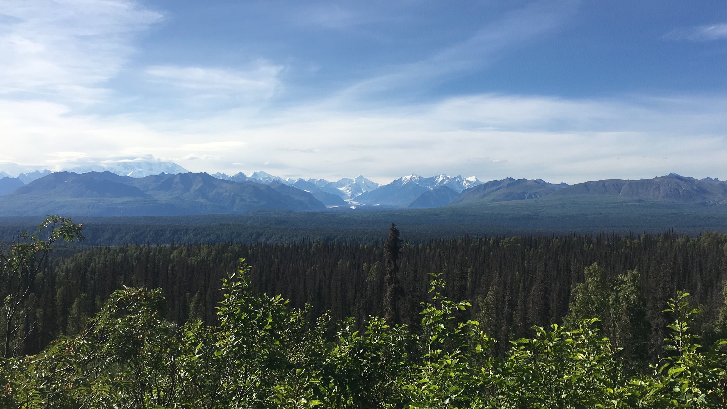 Adventure like a local: K'esugi Ridge Hike — the Boardroom | Offices ...