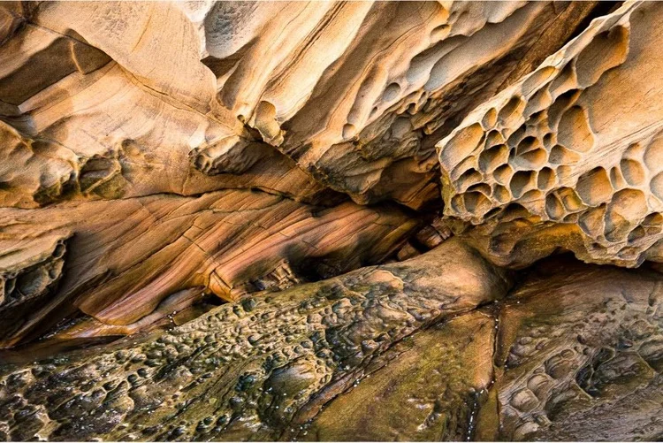 Governor’s Point: Bellingham’s Boldest Architectural Project