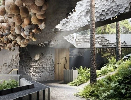 Governor’s Point: Bellingham’s Boldest Architectural Project