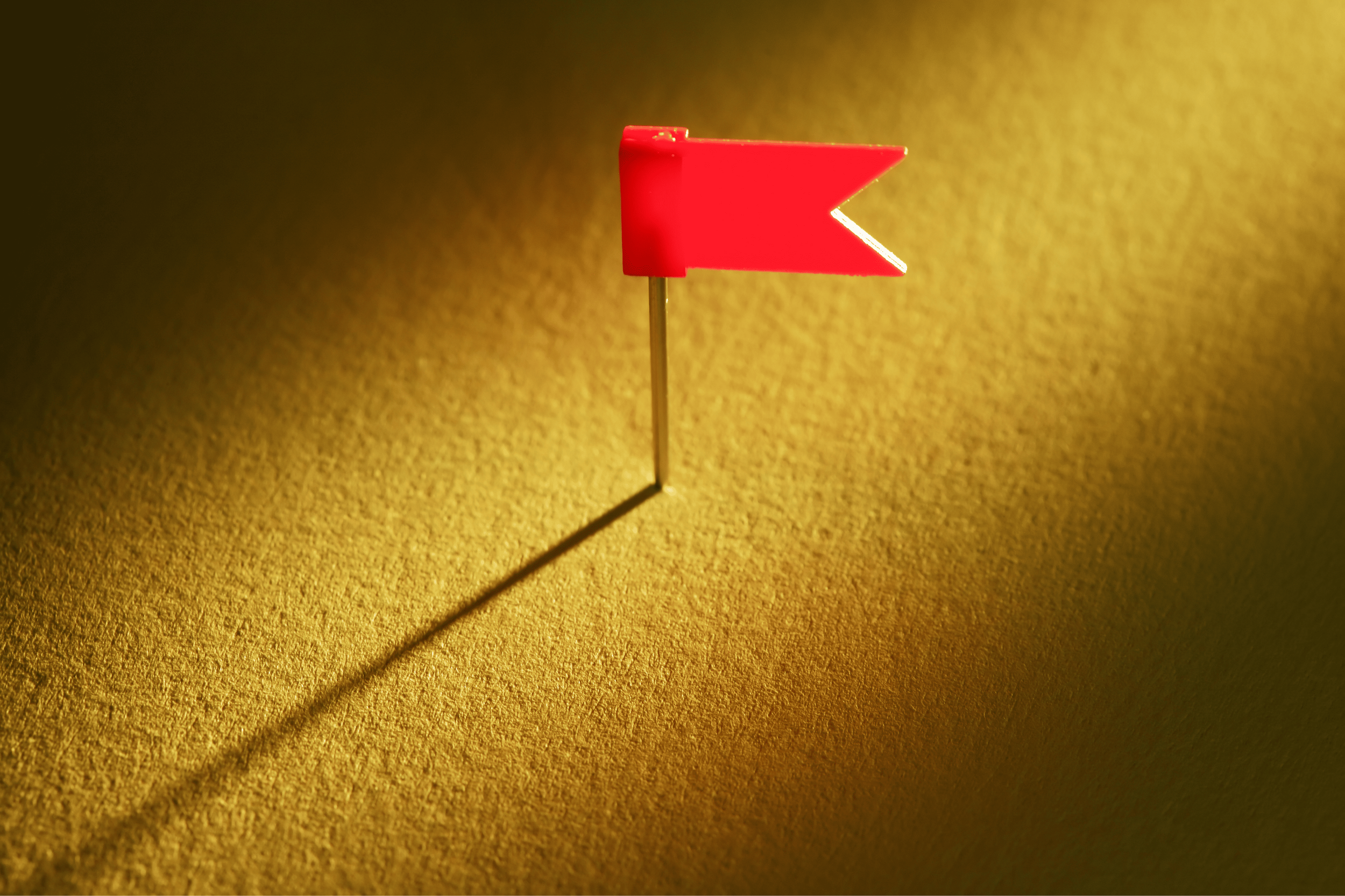 Washington Ends Probate-for-Profit Scam | Whatcom County Heirs