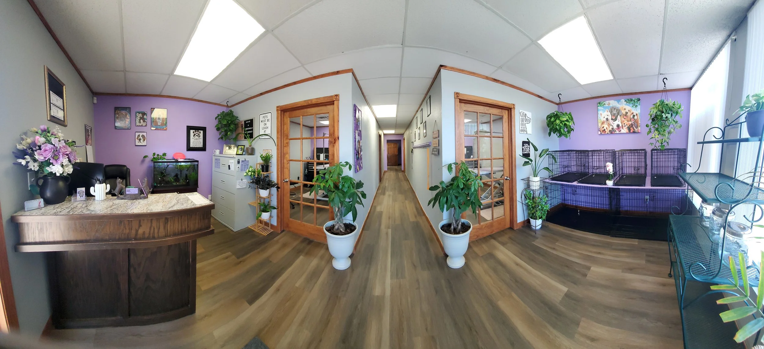 Ruff To Fluff Grooming LLC